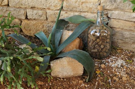 Plastovo Wine Vina Sladić Croatia North East Wino