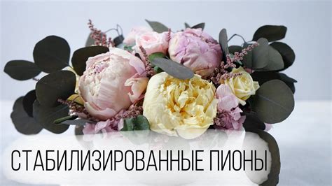 Стабилизированные пионы | Интерьерная флористика | TURAGINA DECOR - YouTube