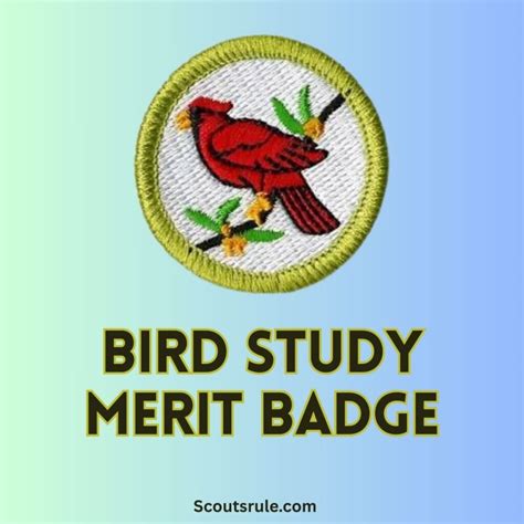 Engineering Merit Badge Guide Scouts Rule