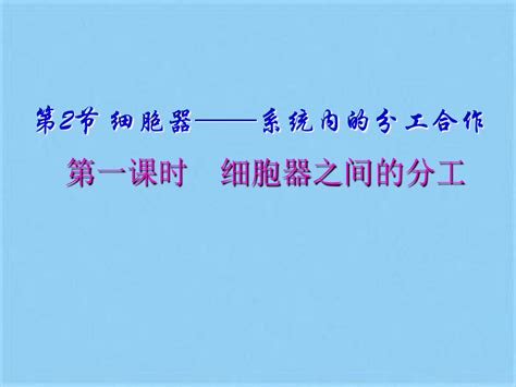 Ppt Ppt Word