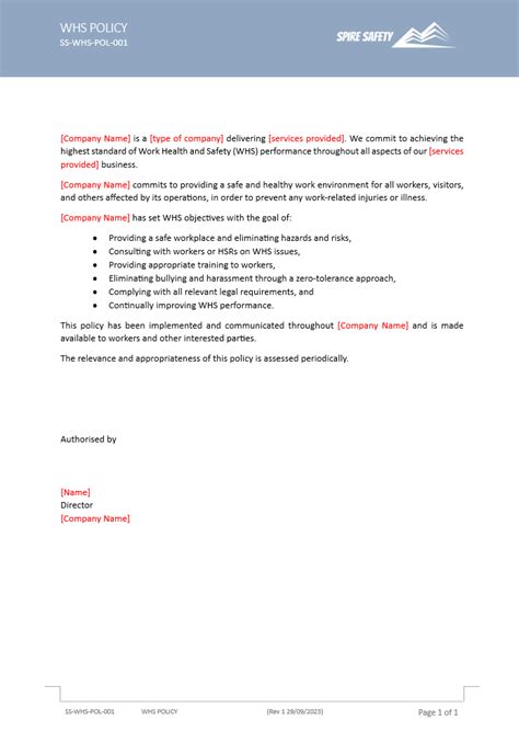 Free Whs Policy Template