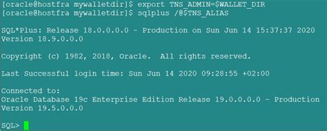 Connect To Oracle Autonomous Database Using Secure External Password Store Seps Database