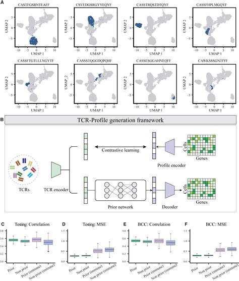 Unified Cross Modality Integration And Analysis Of T Cell Receptors And T Cell Transcriptomes By