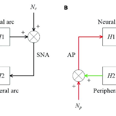 A A Conceptual Block Diagram Describing The Open Loop Analysis Of