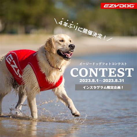 イージードッグフォトコンテスト「イージー水祭り2023」結果発表！！ Ezydog