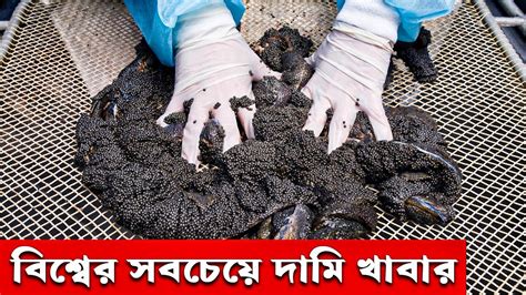 পৃথিবীর সবচেয়ে দামী খাবার যা শুধুমাত্র কোটিপতিরা খেতে পারে Expensive