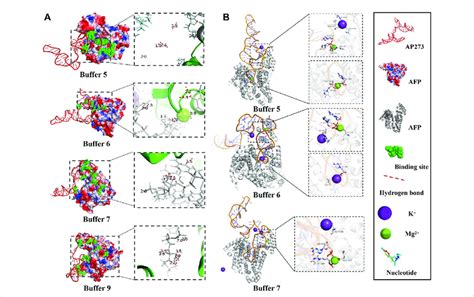 visualization of md simulation results in various buffer solutions