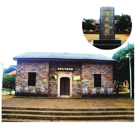 宋明古樟 江城树说 图片
