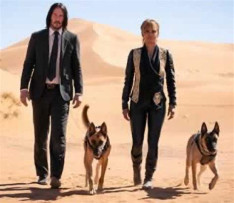 The Dreamer Is The Whole Dream The Deep Archetypes Of John Wick