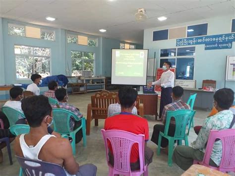 ပလောက်မြို့၊ ဆင်ထိုးကြီးကျေးရွာအုပ်စု၊ အင်းမကျေးရွာတွင် ရော်ဘာစိုက်ခင