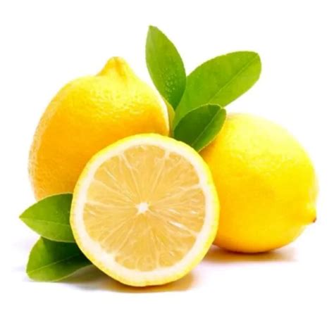 Nopstation Fresh Land Responsive Nopcommerce Theme Fresh Lemon Exporter