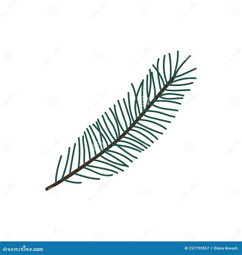 Hand Drawn Christmas Tree Branch Isolated On White Background
