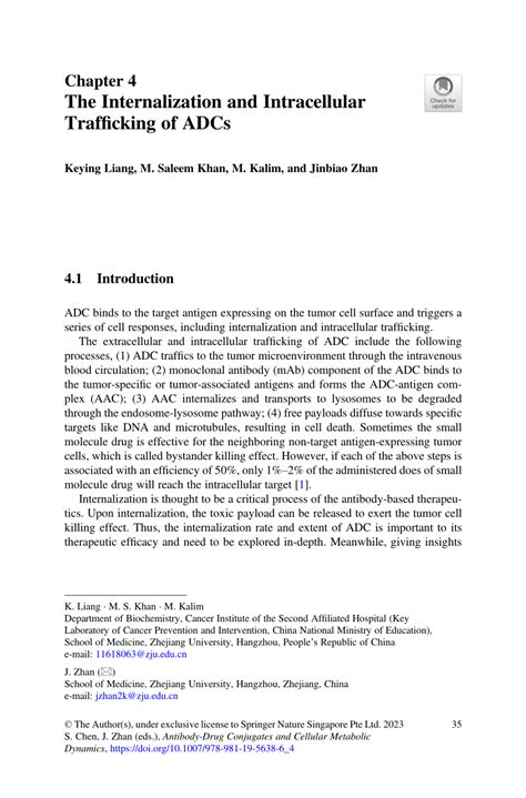 Pdf The Internalization And Intracellular Trafficking Of Adcs