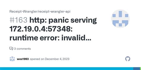 Panic Serving Runtime Error Invalid Memory