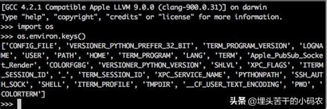 Getenv Os Environ Csdn