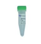 酵母trna溶液，5mgmlyeast Trna Solution品牌：泽叶生物中国上海 盖德化工网