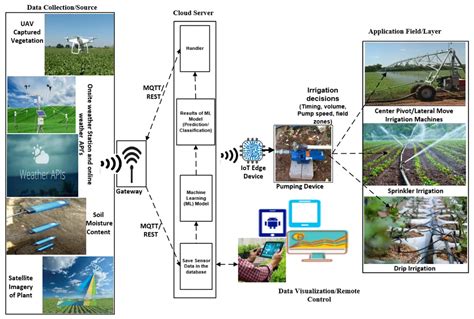 Innovative Deep Learning Model Transforms Vineyard Irrigation Practices