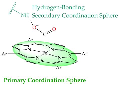Representation Of Primary And Hydrogen Bonding Secondary Coordination