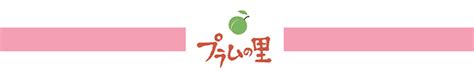 プラムの里｜長野県上伊那 しなのさわやか福祉会 ー アルプスの麓で介護の仕事ができる！