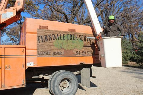 Ferndale Tree Service