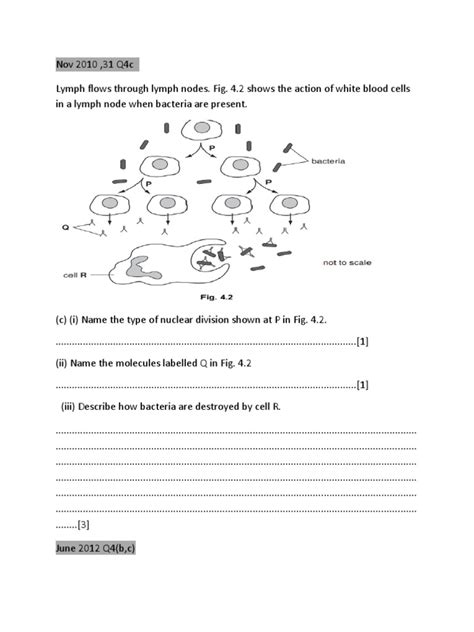 Igcse Disease And Immunity P34 Pdf Pathogen Blood Type