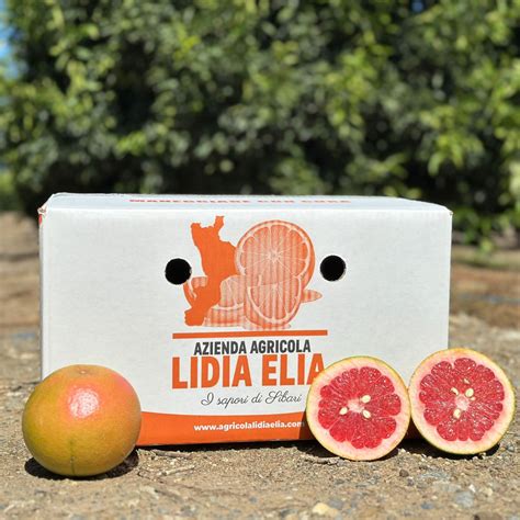 Pompelmo Rosa Agricola Lidia Elia