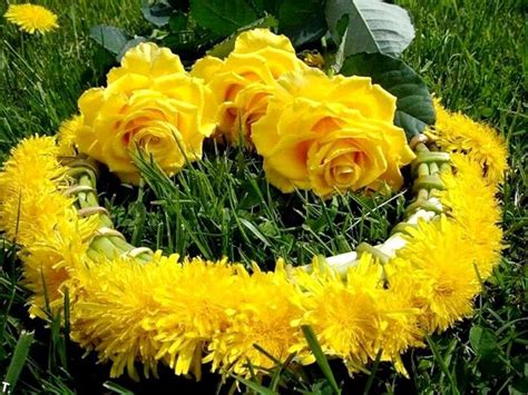 Dhom Prasarnsub Twitter