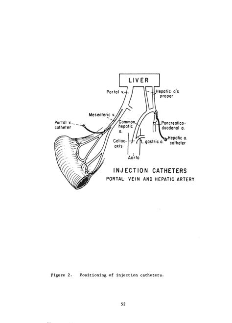 Studies Of Shock Secondary To Staphylococcus Exotoxin Septic Shock