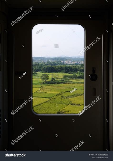 맑은 하늘 아래 들판과 나무 먼 스톡 사진 2539984669 Shutterstock