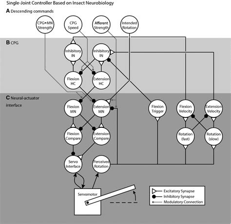 Diagram Of The Single Joint Controller Used In This Work A Download Scientific Diagram