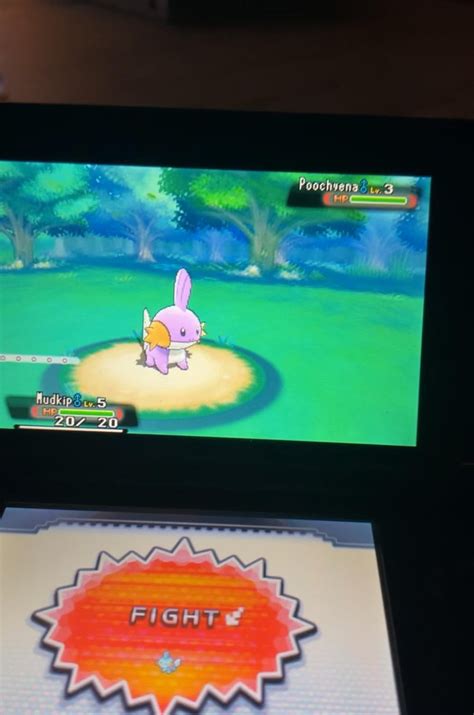 [gen 6] Shiny Mudkip R Shinypokemon