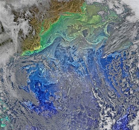 Turbulenter Nordatlantik Infrarot Aufnahme Macht Den Golfstrom