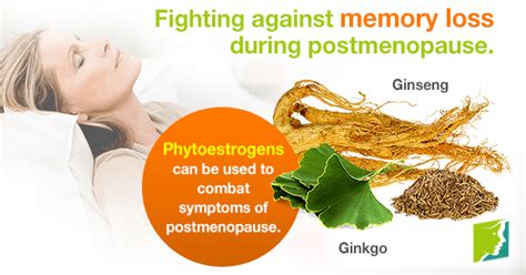 How To Fight Memory Loss During Postmenopause Menopause Now