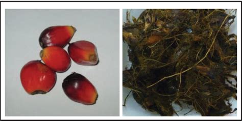 Figure 3 From Simulation Of Palm Oil Expression In Screw Press Using Computational Fluid
