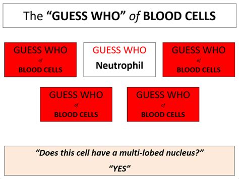 Non Specific Immune Responses Edexcel A Level Biology A Teaching