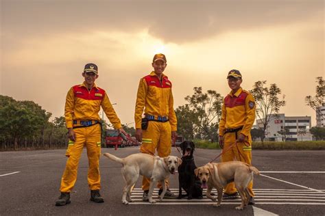 提升救援效能！ 新竹市將添3搜救犬 台灣動物新聞網