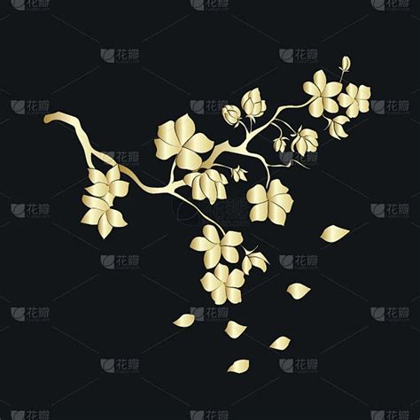 嫩枝樱花素材 花瓣网