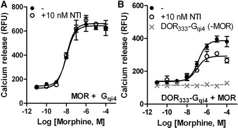 Figure 5 From Novel Screening Assay For The Selective Detection Of G Protein Coupled Receptor