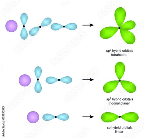 Sp Sp2 And Sp3 Hybrid Orbitals Stock Illustration Adobe Stock