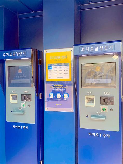 모여라 약심장 야너두 에버랜드 즐길 수 있어 세시간전