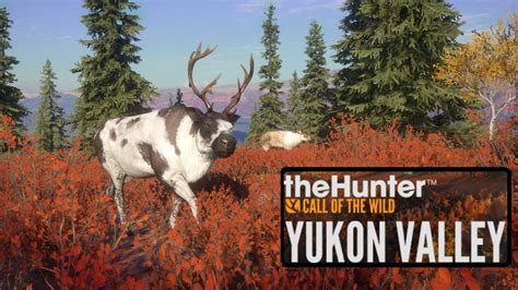 Thehunter Call Of The Wild Yukon Valley Ep31 All Main Missions