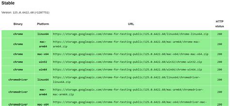 Selenium Chromedriver And How To Do Selenium Tests On Chrome