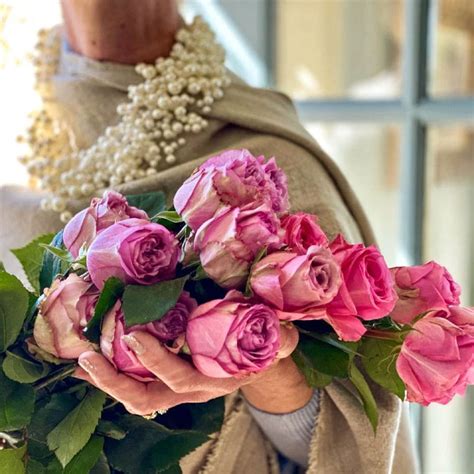 Pink Xpression Garden Rose Sami Sacha Flowers