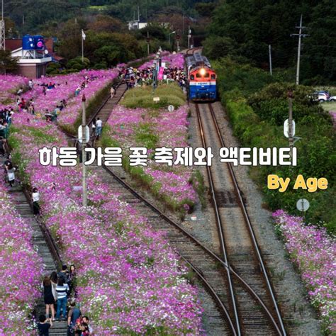 하동여행 하동으로 떠나는 꽃 나들이하동 북천 코스모스·메밀꽃 축제 정보와 액티비티 네이버 블로그