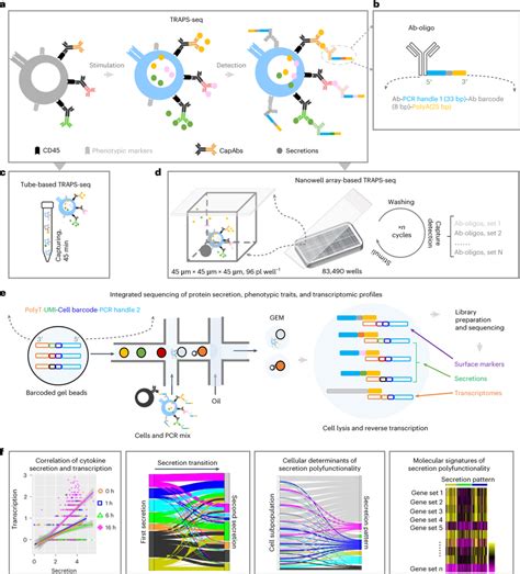 Schematic Representation Of Traps Seq Workflow A B Cells Were