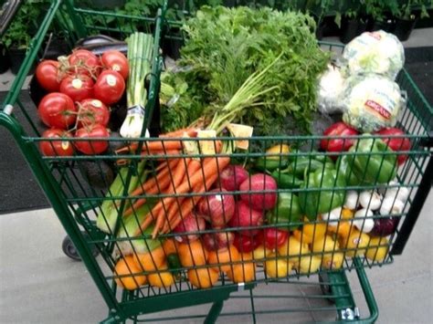 Earth Day Deals And Freebies