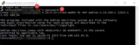 guidance on usage icecast streaming server on debian 11 minimal