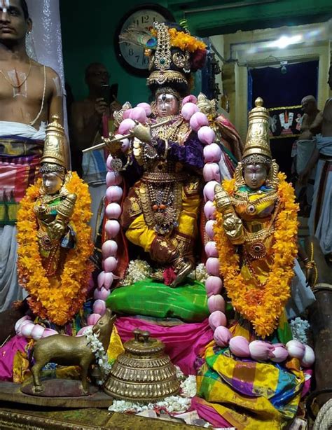 Venu Gopala Swamy Lord Krishna With Rukmini Satyabhama And Little Cow Rindiadivine