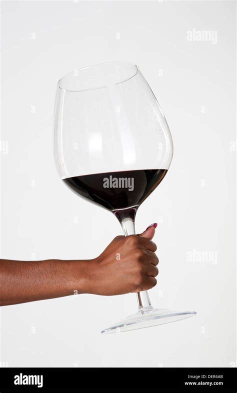 Biggest Wine Glass Ever
