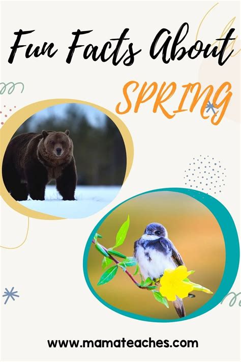 Fun Facts About Spring Mama Teaches